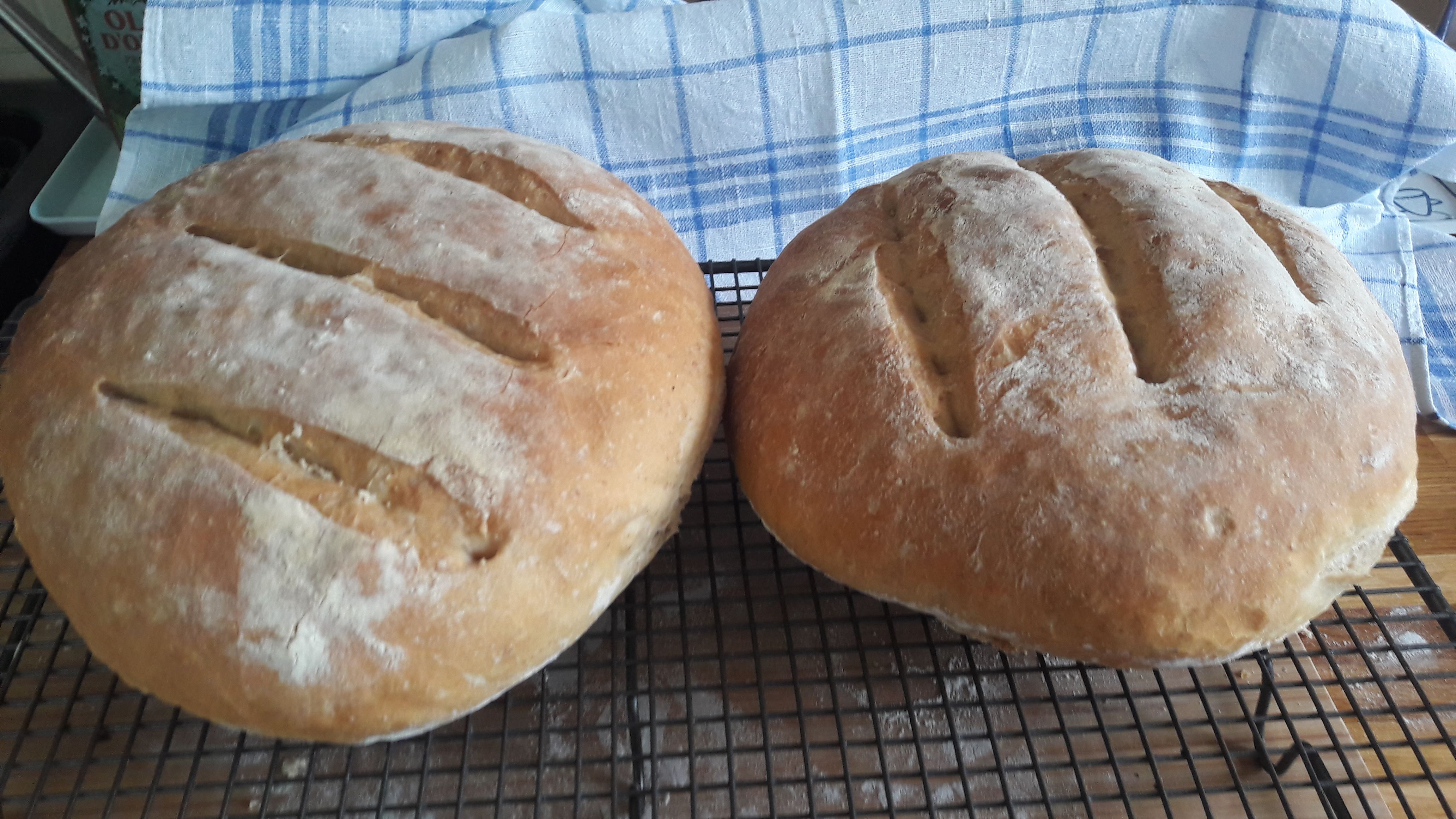 Poolish Bread – Journey From A Polish Kitchen