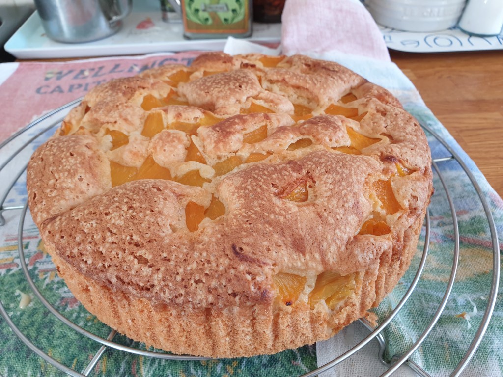Sponge Cake with Peaches – Journey From A Polish Kitchen